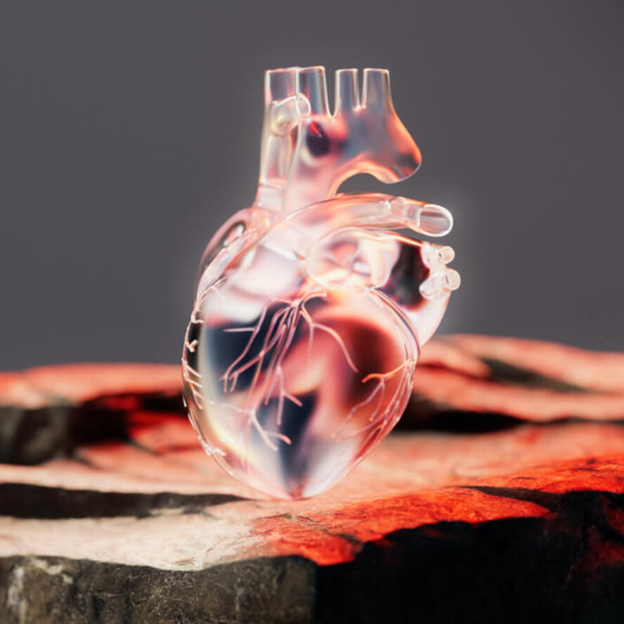 Portfolio 4 Col – Top Secret Indonesia